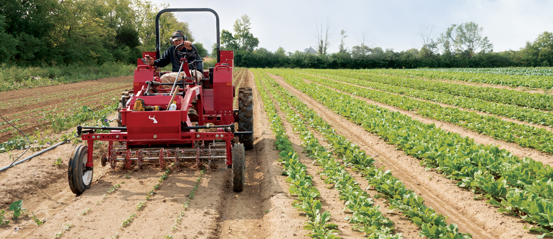 Tilmor - A Marketplace for Small Growers